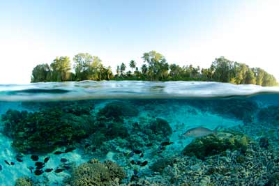 What lies beneath: the unsung story of biopharmaceutical innovation